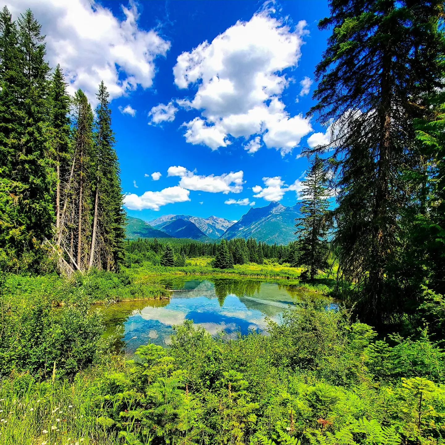 Mindset is everything when in Nature - Power of Art and Nature